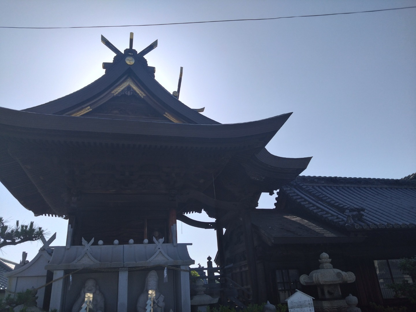 ジョギング: 思いつくままに