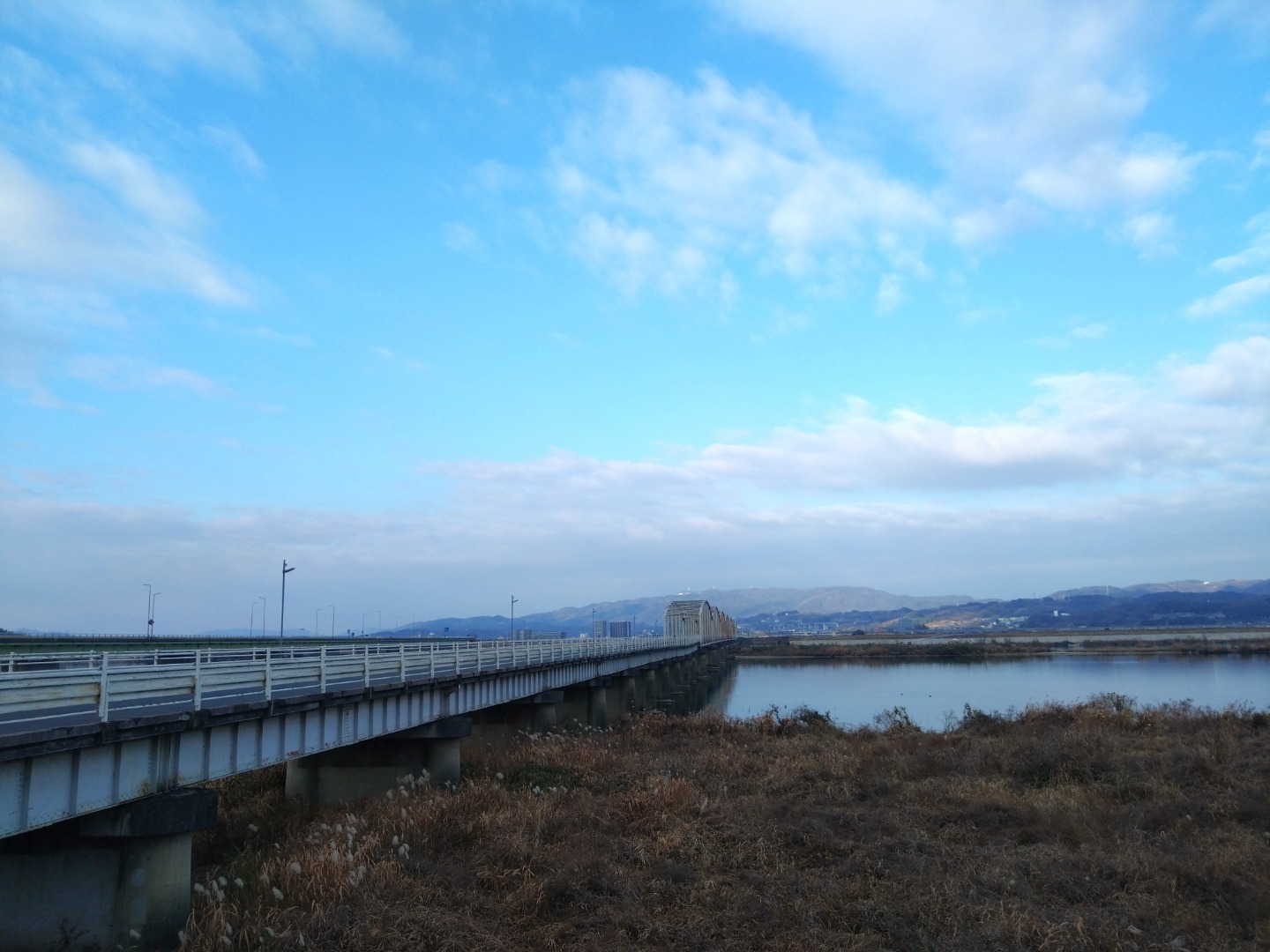 今日読んだ1言: 思いつくままに