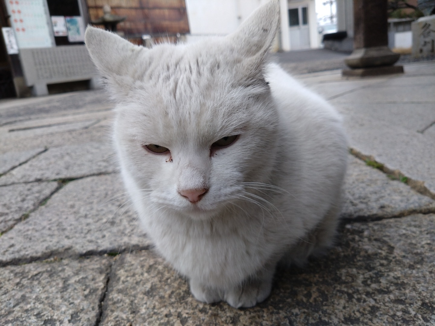 ジョギング: 思いつくままに