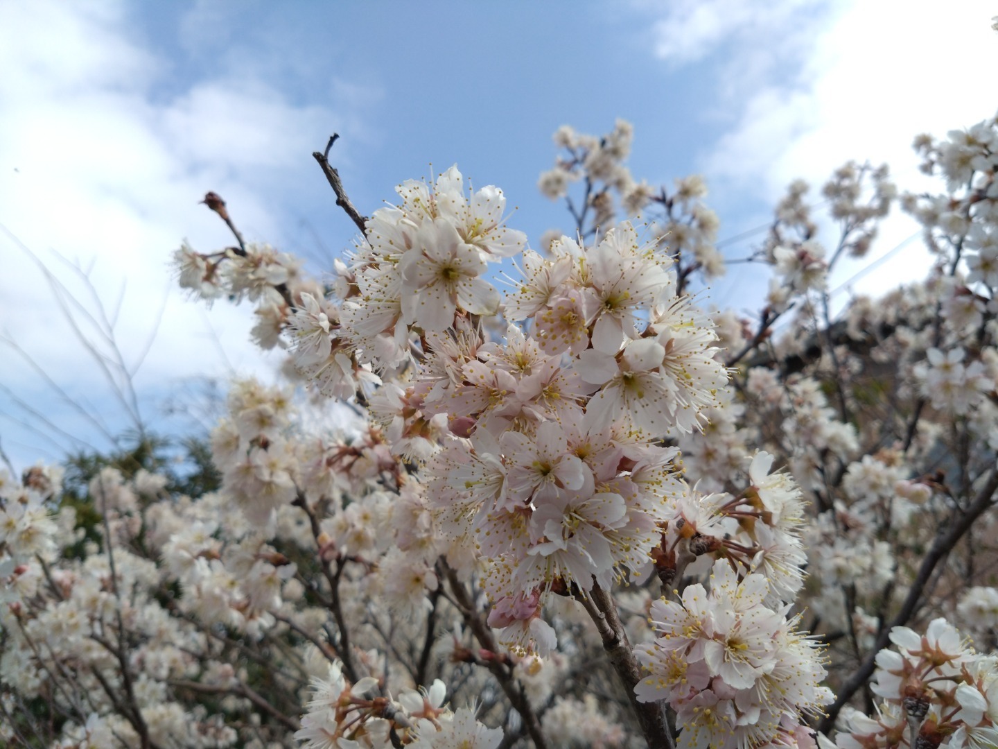 今日読んだ1言: 思いつくままに